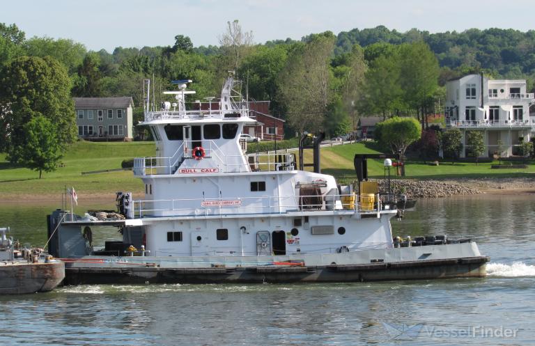 BULL CALF, Local type - Details and current position - MMSI 367456640 ...