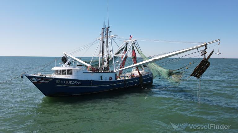 SEA GODDESS, Fishing vessel - Details and current position - MMSI ...