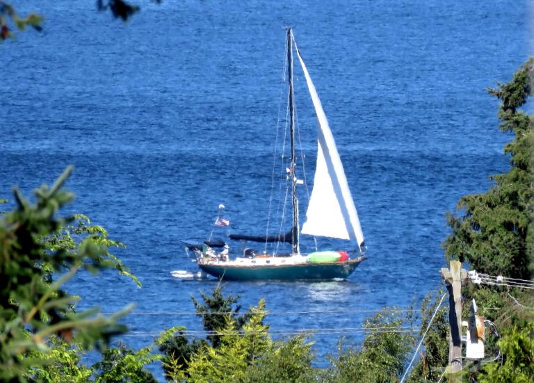 TRIUMPH, Sailing vessel - Details and current position - MMSI 367479950 ...