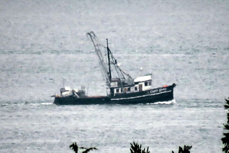 CALEB HALEY, Fishing vessel - Details and current position - MMSI ...