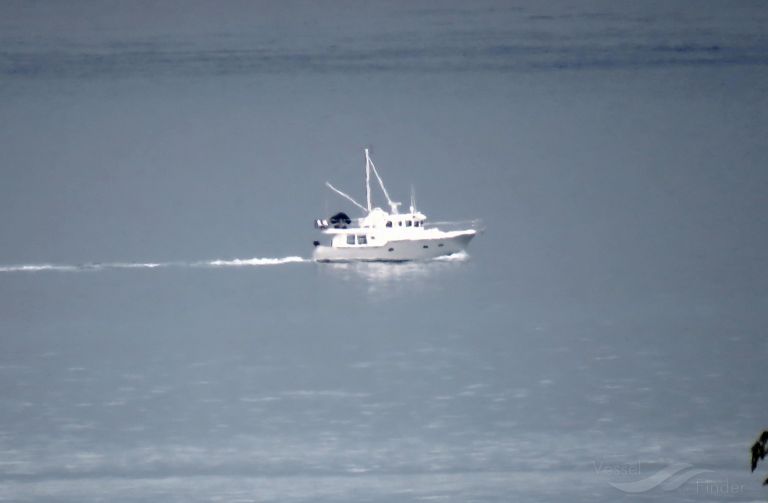 Free AIS Ship Tracking of Marine Traffic - VesselFinder