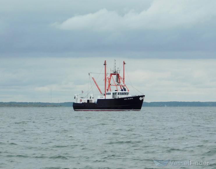 SEA HAWK, Fishing vessel - Details and current position - MMSI ...