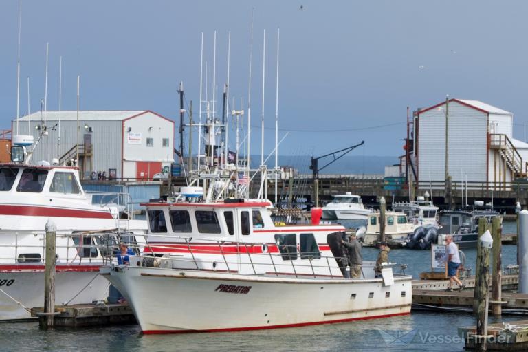 PREDATOR, Fishing vessel - Details and current position - MMSI ...