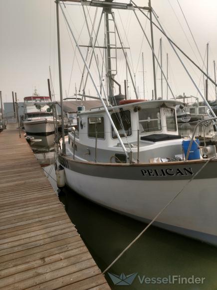 PELICAN, Fishing vessel - Details and current position - MMSI 368014620 ...