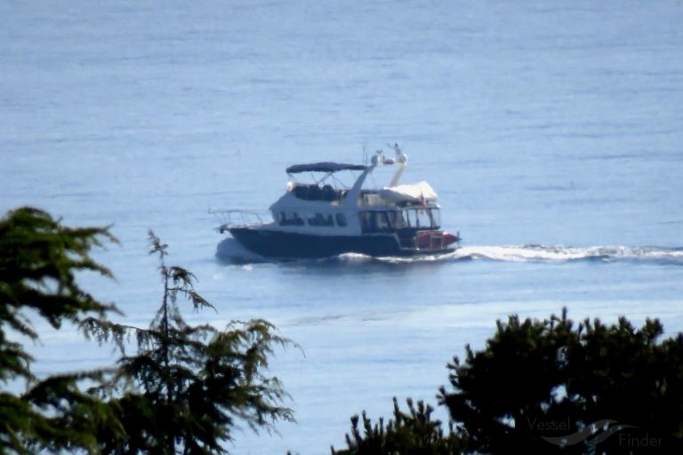 ALKI, Pleasure craft - Details and current position - MMSI 368033510 ...