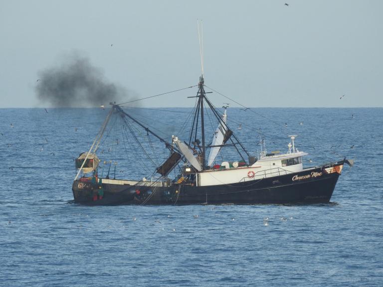 CARESSA MAE, Fishing vessel - Details and current position - MMSI ...