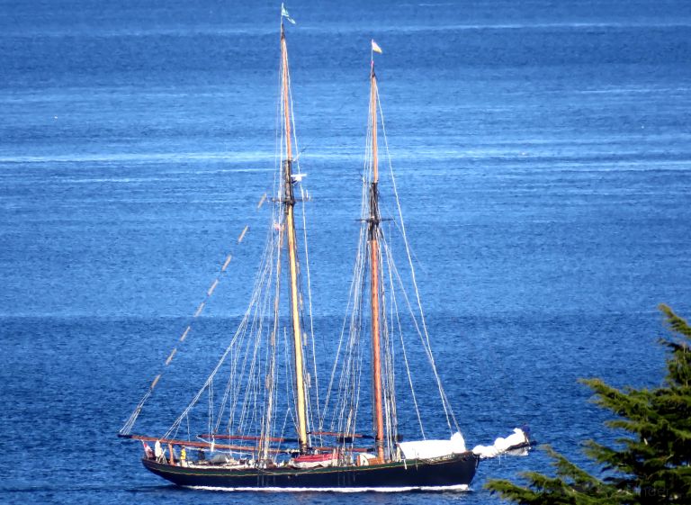 PACIFIC GRACE, Pleasure craft - Details and current position - MMSI ...