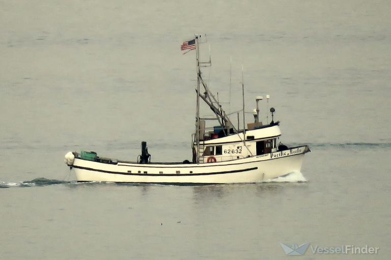 PACIFIC REEFER, Fishing vessel - Details and current position - MMSI ...