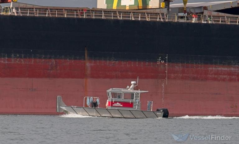 BEAVER, Port tender - Details and current position - MMSI 368317740 ...
