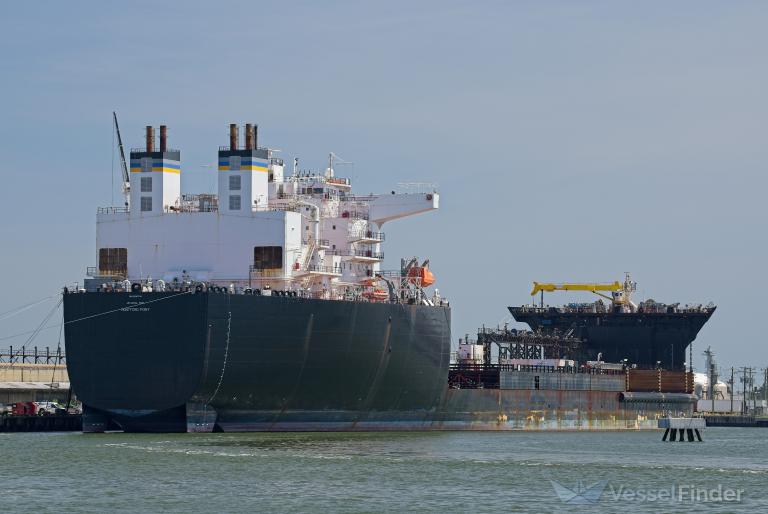 US GOV VESSEL, Military ops - Details and current position - MMSI ...