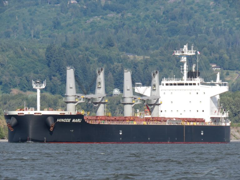 ALTUS, Bulk Carrier - Details and current position - IMO 9650169 ...