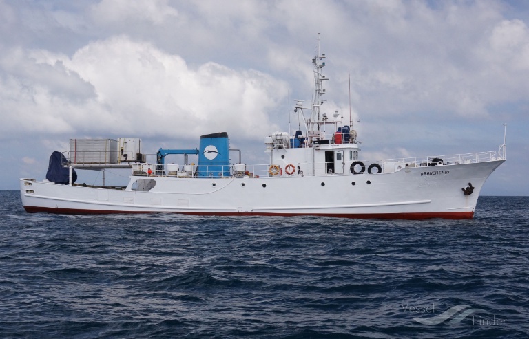 DOLPHIN, Unknown - Details and current position - MMSI 431999567 ...