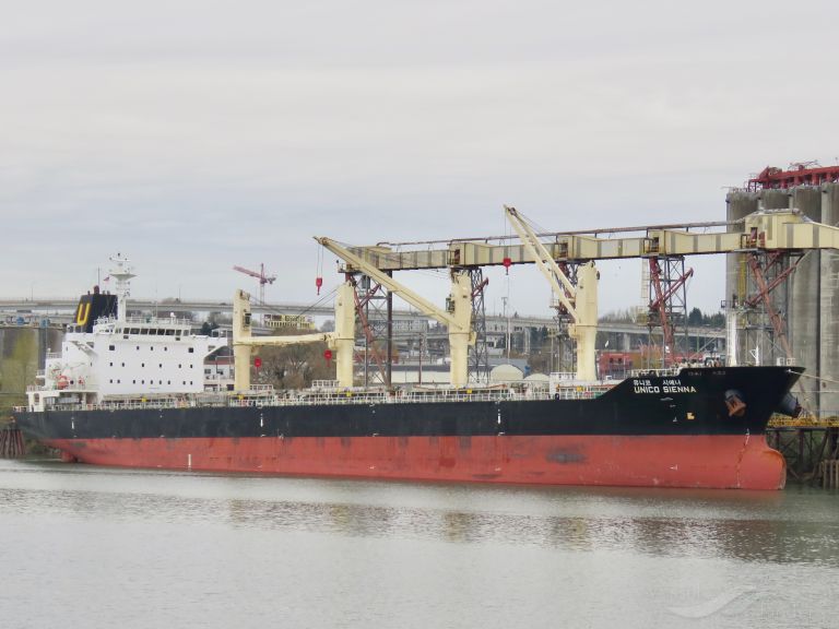 SEASTAR VALIANT, Bulk Carrier - Details and current position - IMO ...