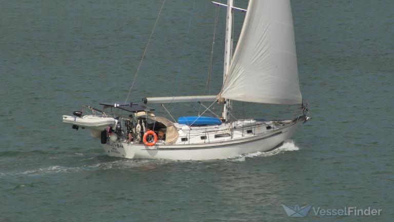 HALCYON VII, Sailing vessel - Details and current position - MMSI ...