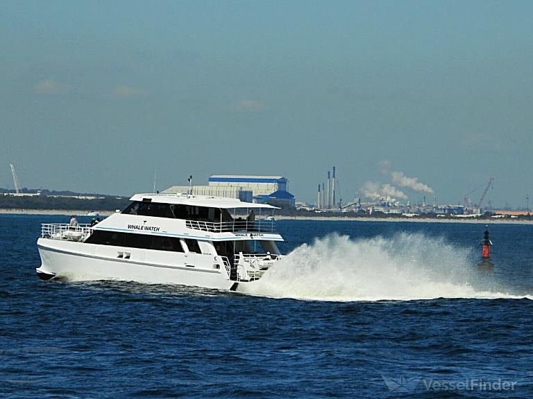 STEEP POINT, Other type - Details and current position - MMSI 503063980 ...