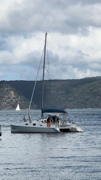 WINDWALKER, Sailing vessel - Details and current position - MMSI ...