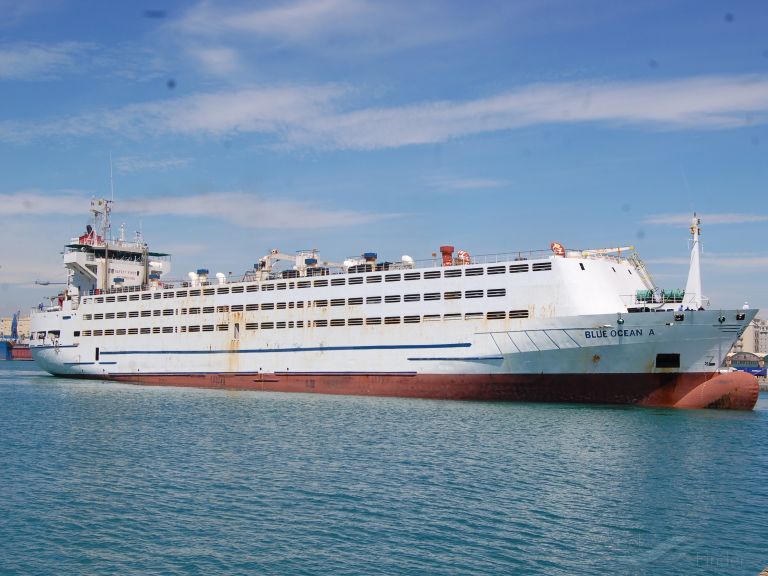 BLUE OCEAN A, Livestock Carrier - Details and current position - IMO ...