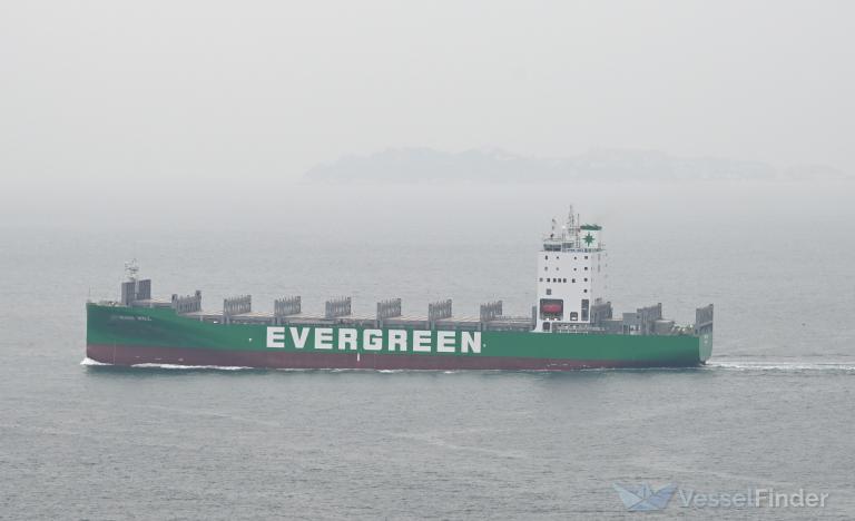 EVER WILL, Container Ship - Details and current position - IMO 9950832 ...