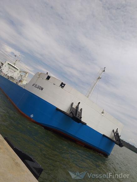MT ELGON, Tanker - Details and current position - MMSI 675010015 ...