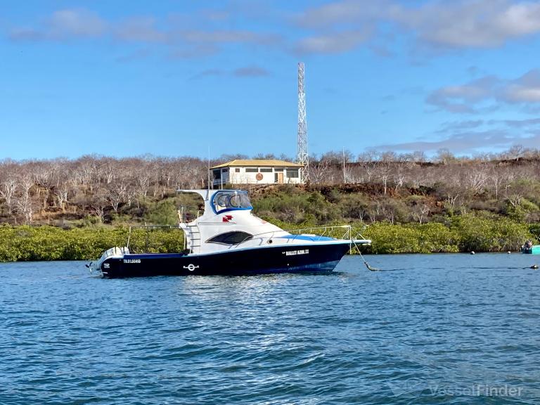 BALLET AZUL II, Passenger ship - Details and current position - MMSI ...
