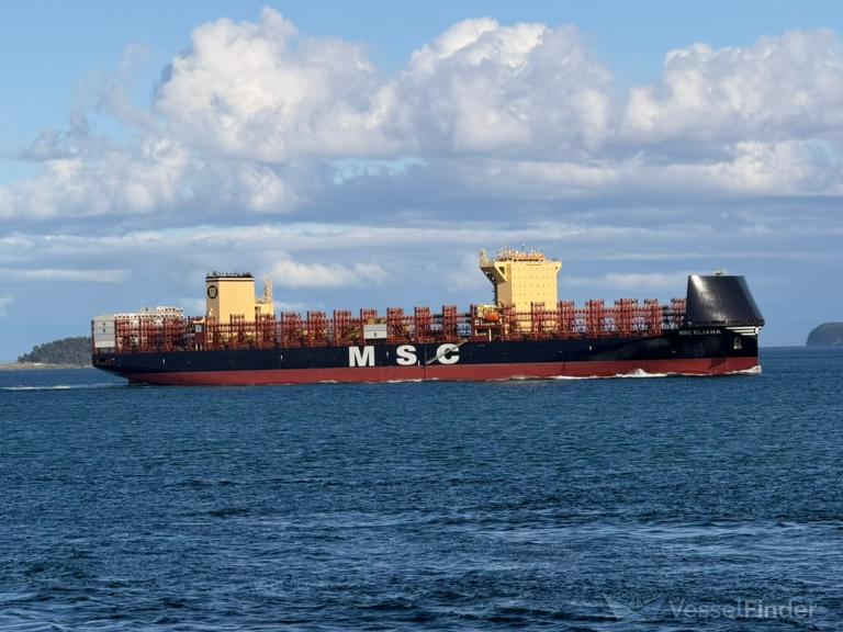MSC ELIANA, Container Ship - Details and current position - IMO 1013171 ...