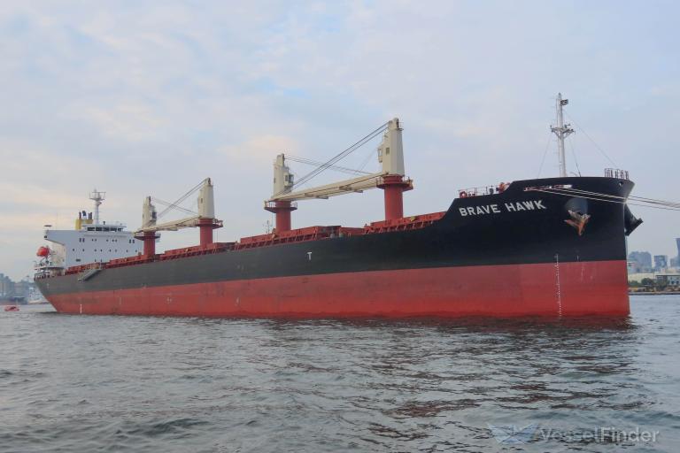 BRAVE HAWK, Bulk Carrier - Details and current position - IMO 1014436 ...