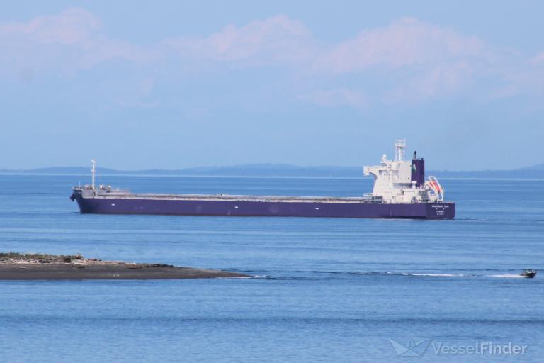 FRIENDSHIP DIVA, Bulk Carrier - Details and current position - IMO ...
