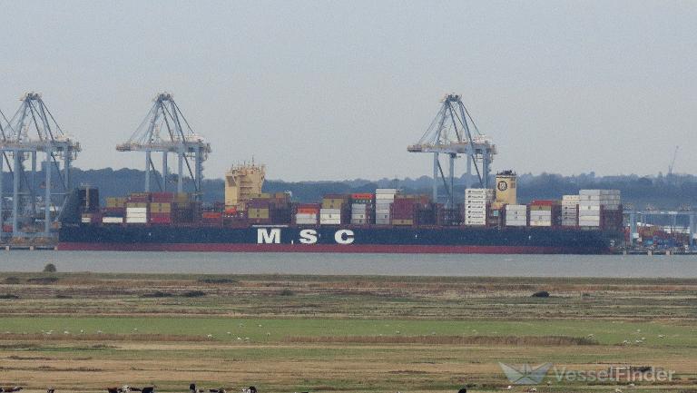 MSC INSA, Container Ship - Schiffsdaten und aktuelle Position - IMO ...
