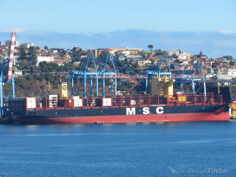 MSC SAMIA, Container Ship - Details and current position - IMO 1016707 ...