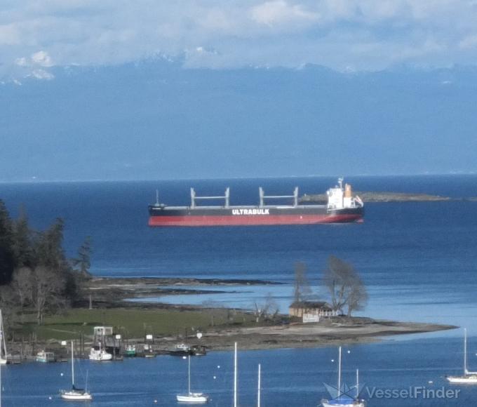 ULTRA CONFIDENCE, Bulk Carrier - Details and current position - IMO ...