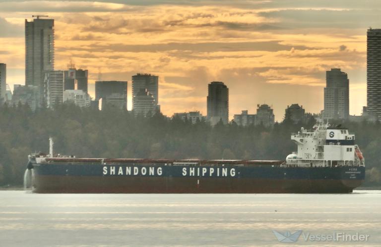 SHANDONG XIN SHENG, Bulk Carrier - Details and current position - IMO ...