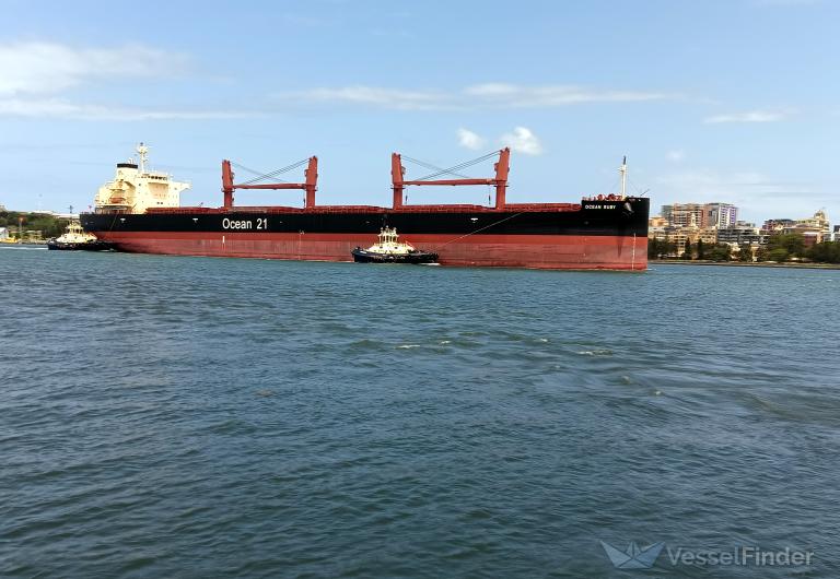 OCEAN RUBY, Bulk Carrier - Details and current position - IMO 1027299 ...