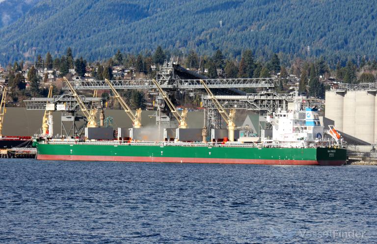 GH PRIDE, Bulk Carrier - Details and current position - IMO 1077907 ...