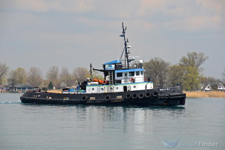 MOLLY M I, Tug - Details and current position - IMO 5118838 - VesselFinder