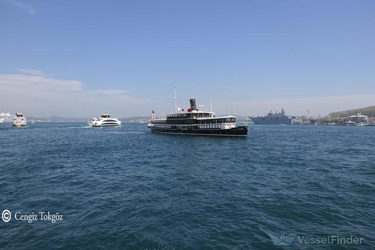 HALAS 71, Passenger (Cruise) Ship - Details and current position - IMO ...