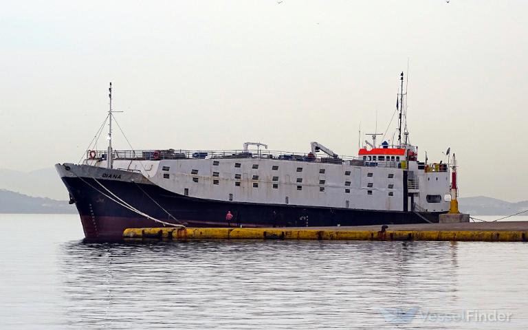 PRINCESS AYA, Livestock Carrier - Details and current position - IMO ...