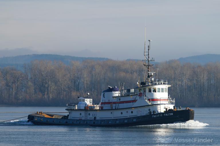 PACIFIC FALCON, Tug - Details and current position - IMO 7200128 ...