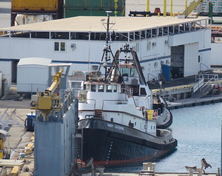 MARY CATHERINE, Tug - Details and current position - IMO 7209435 ...