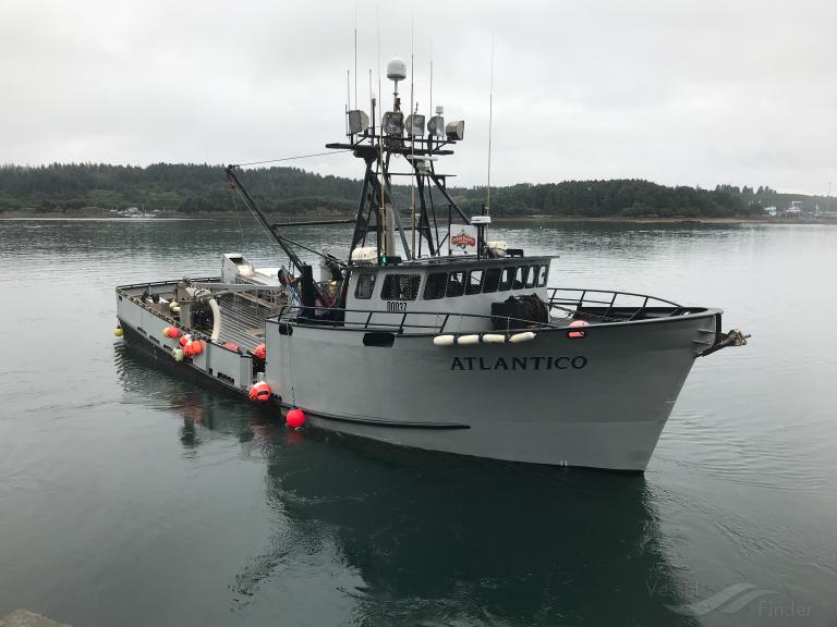 ATLANTICO, Fishing Vessel - Details and current position - IMO 7215537 ...
