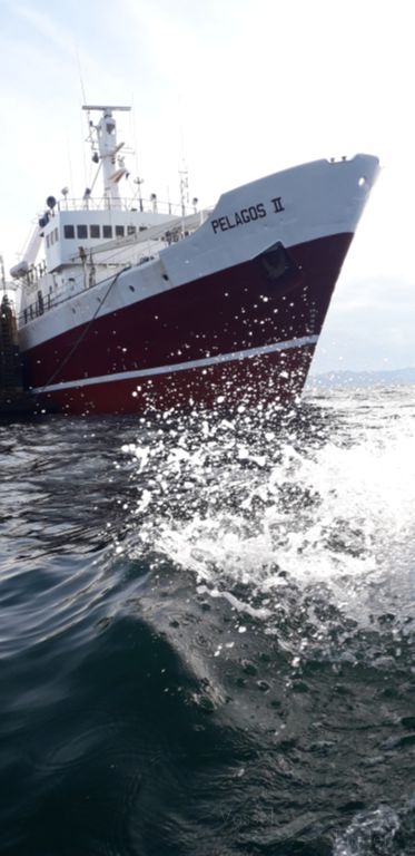 PELAGOS II, Fishing Vessel - Details and current position - IMO 7222815 ...