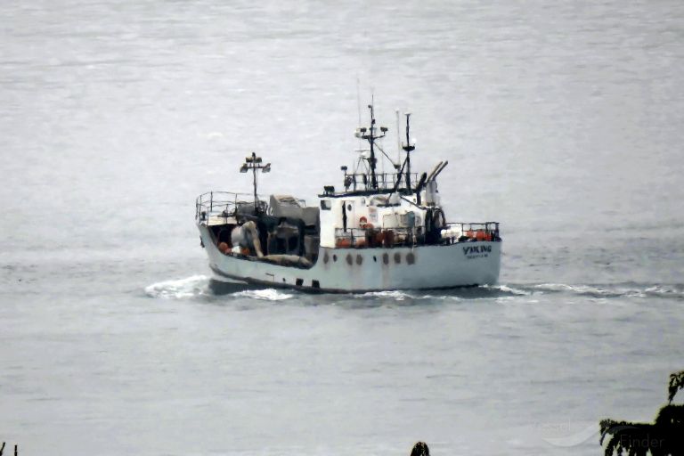 VIKING, Fish Factory Ship - Details and current position - IMO 7309780 ...