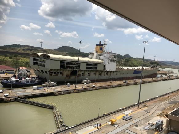 LURLINE, Container Ship - Details and current position - IMO 7321087 ...