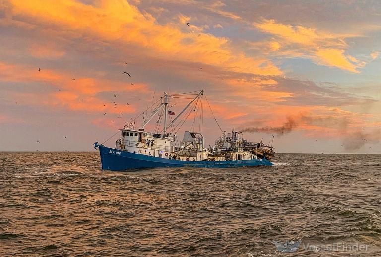 SEA BEE, Fishing Vessel - Details and current position - IMO 7513379 ...