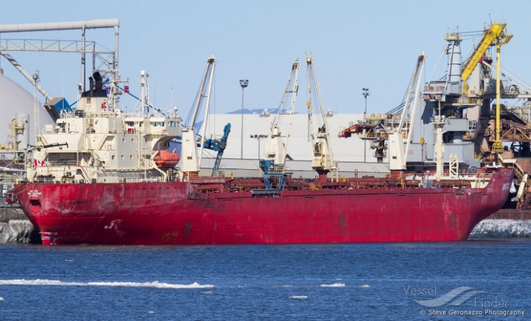 ARCTIC, Bulk/Oil Carrier - Details and current position - IMO 7517507 - VesselFinder