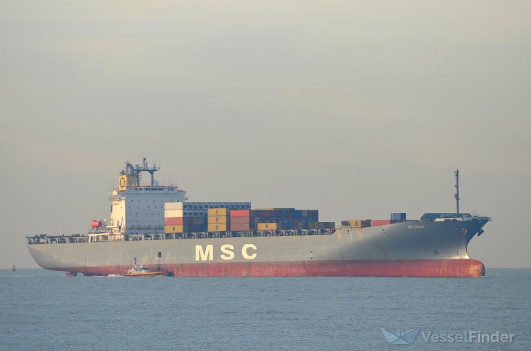 MSC ERMINIA, Container Ship - Details and current position - IMO ...