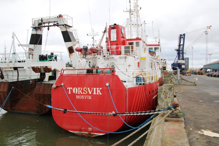 BLUE SHARK, Standby Safety Vessel - Details and current position - IMO ...