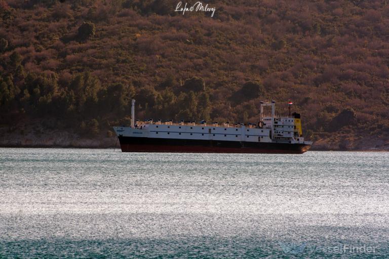 ABDULLAH, Livestock Carrier - Details and current position - IMO ...
