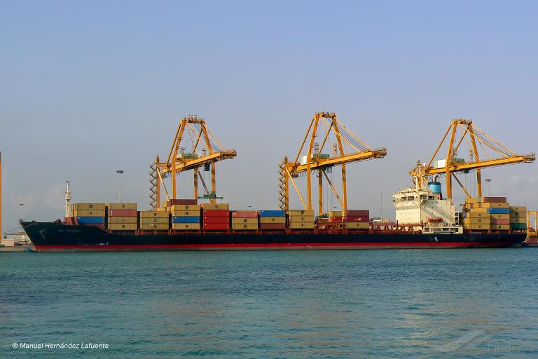 MSC ENDURANCE, Container Ship - Scheepsdetails en huidige positie - IMO ...