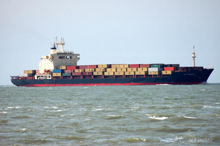 MSC ENDURANCE, Container Ship - Details and current position - IMO ...