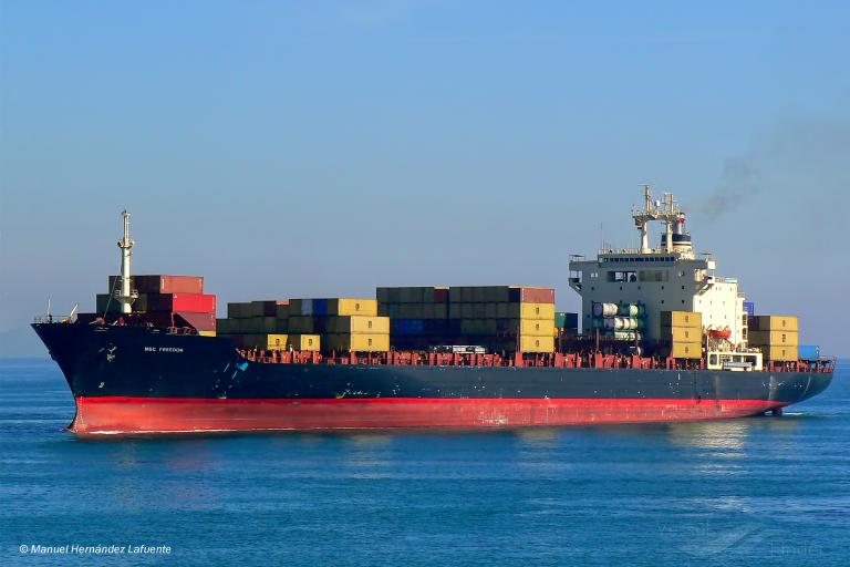 MSC FREEDOM, Container Ship - Details and current position - IMO ...